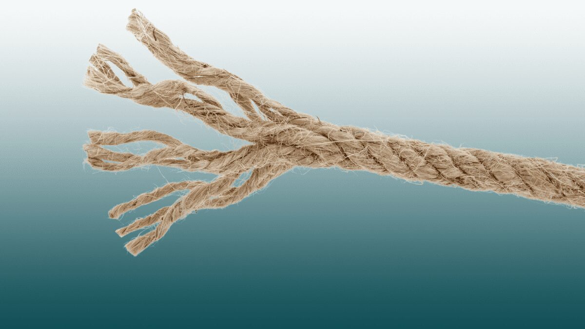 The Science of Reading: What it is and What it is not