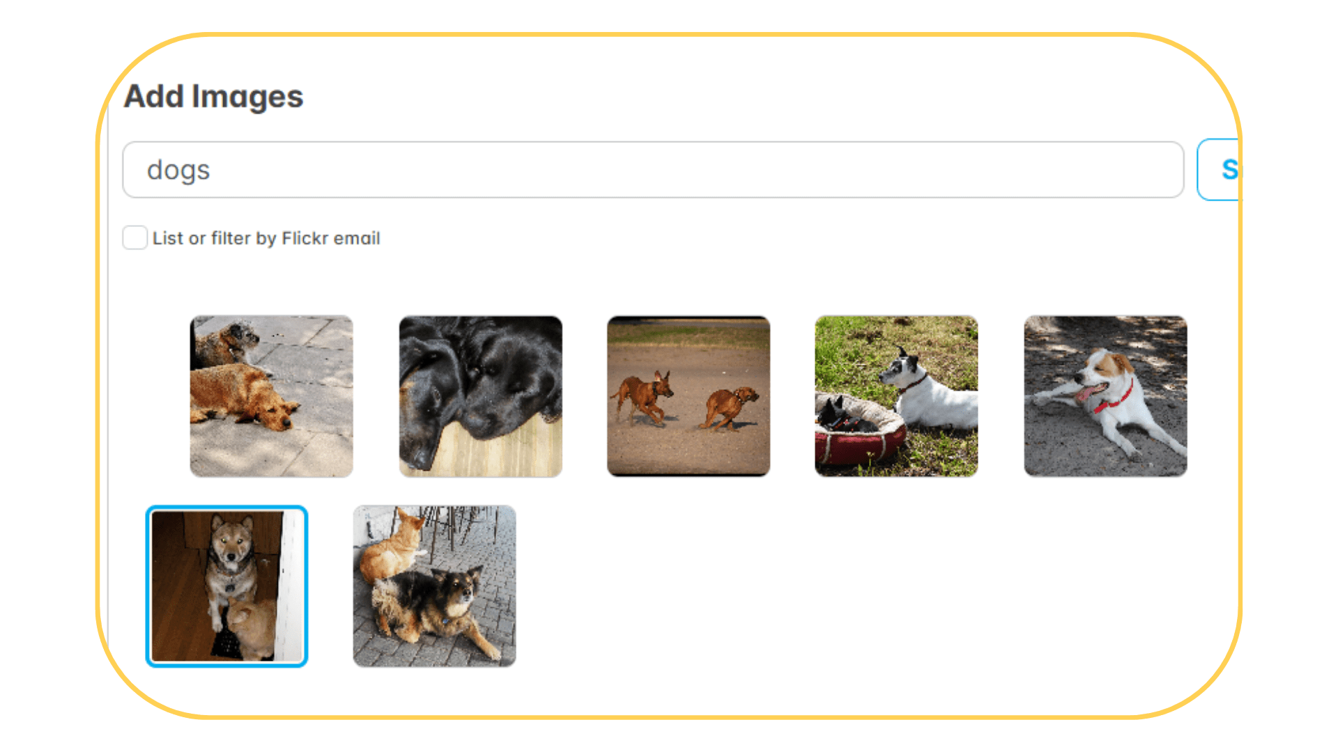 Monarch Reader: books for beginning readers of all ages