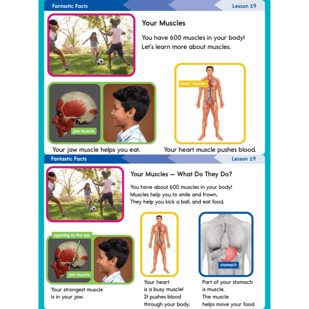 Readtopia - Literacy Curriculum for Special Education